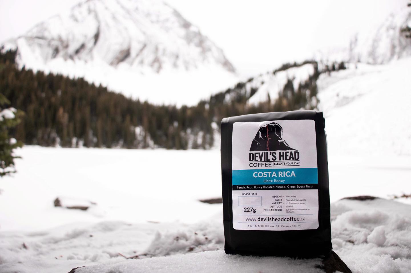 Meet Devil's Head Coffee – The Apothecary in Inglewood