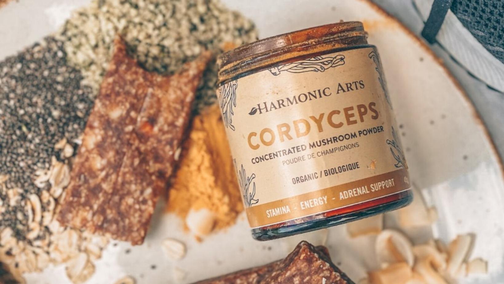 Mushroom Powders and Tinctures: Your Questions Answered – The ...