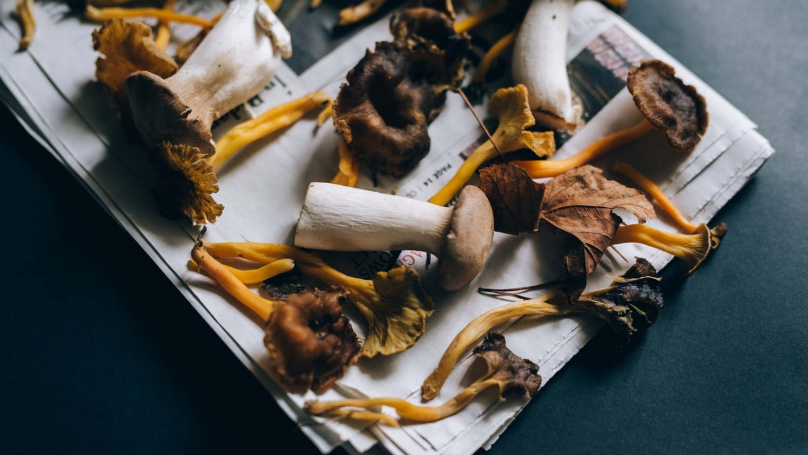 Simple Ways to Add Medicinal Mushrooms to Your Daily Routine – The ...